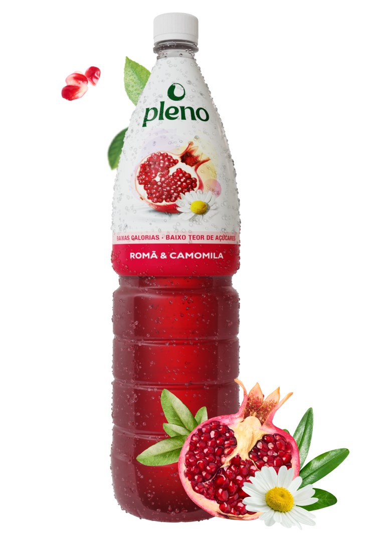 Pleno | Pleno