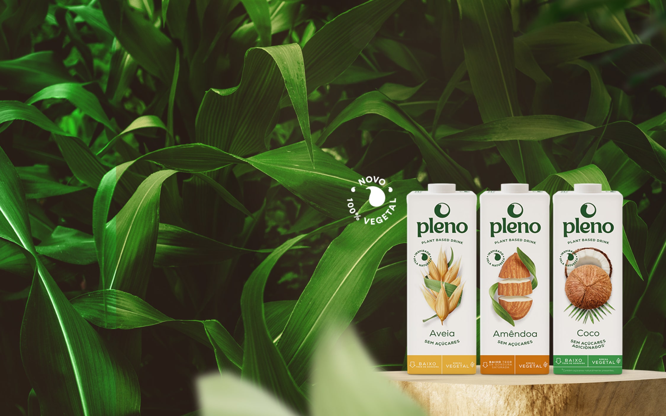 Pleno | Pleno